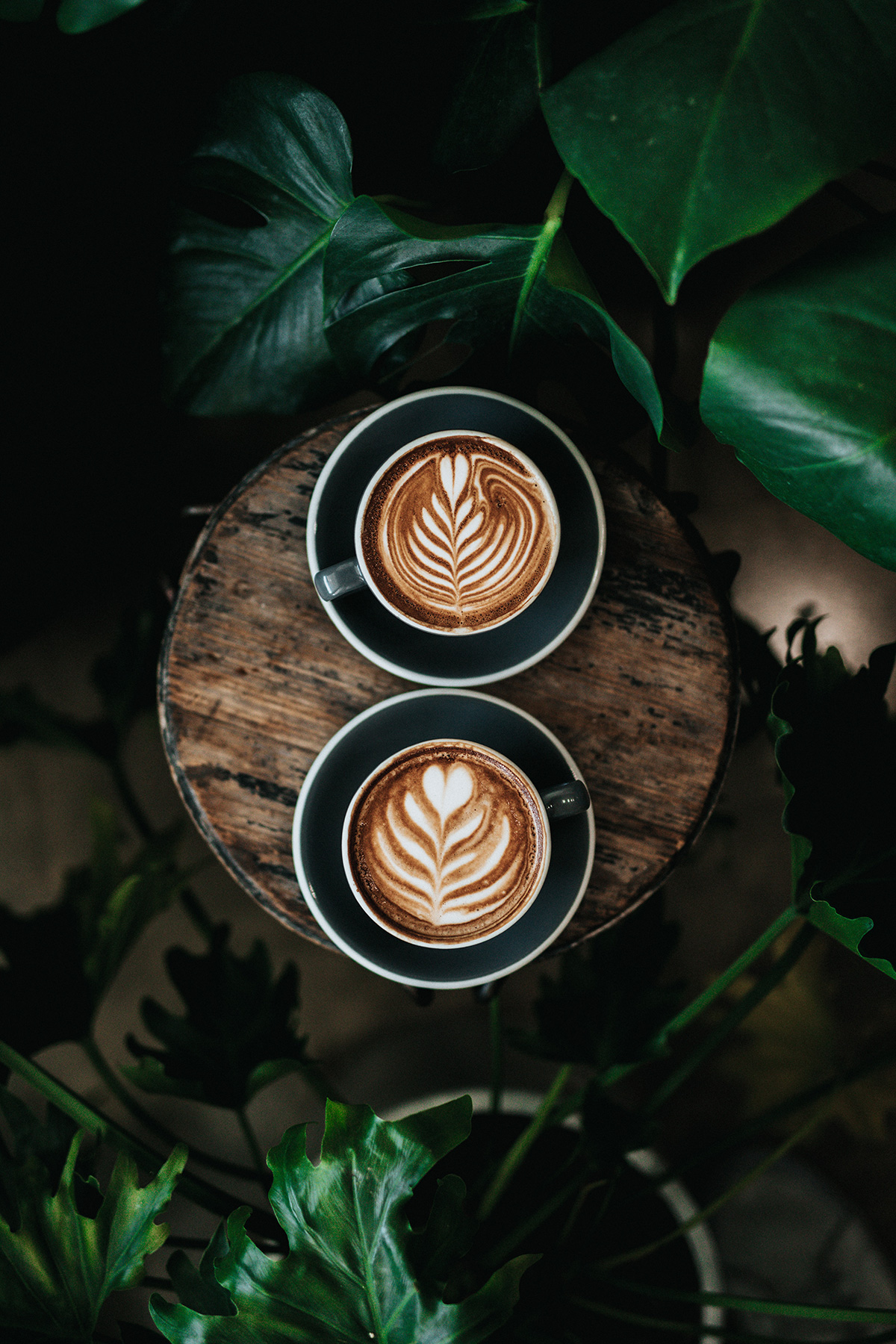 Easy Cappuccino Recipe - PenNews Cafe Multipurpose Vertical Nav