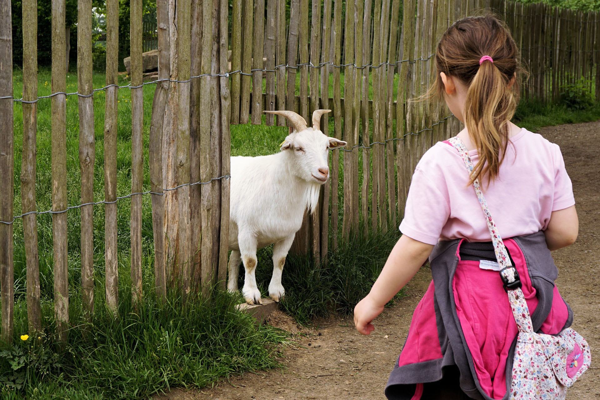 The children are excited, willing to explore when visiting the farm ...
