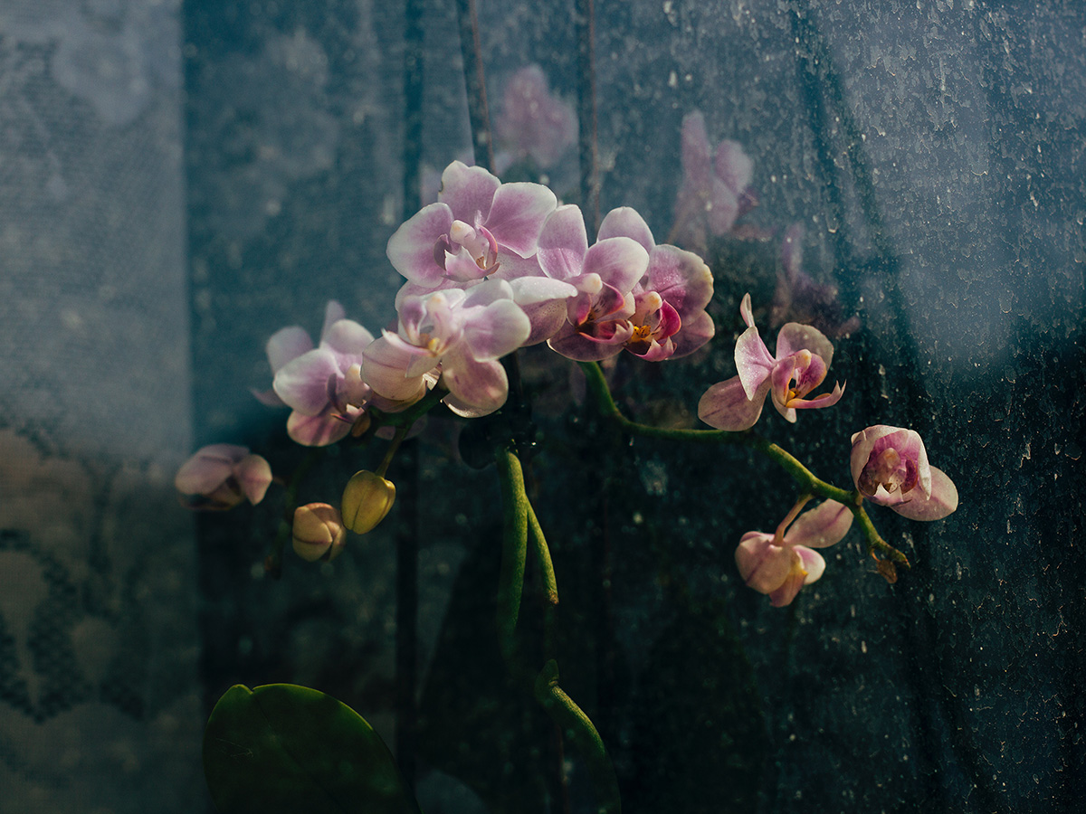 Layered & Stacked Photography Tricks & Guide - PenNews Photography ...