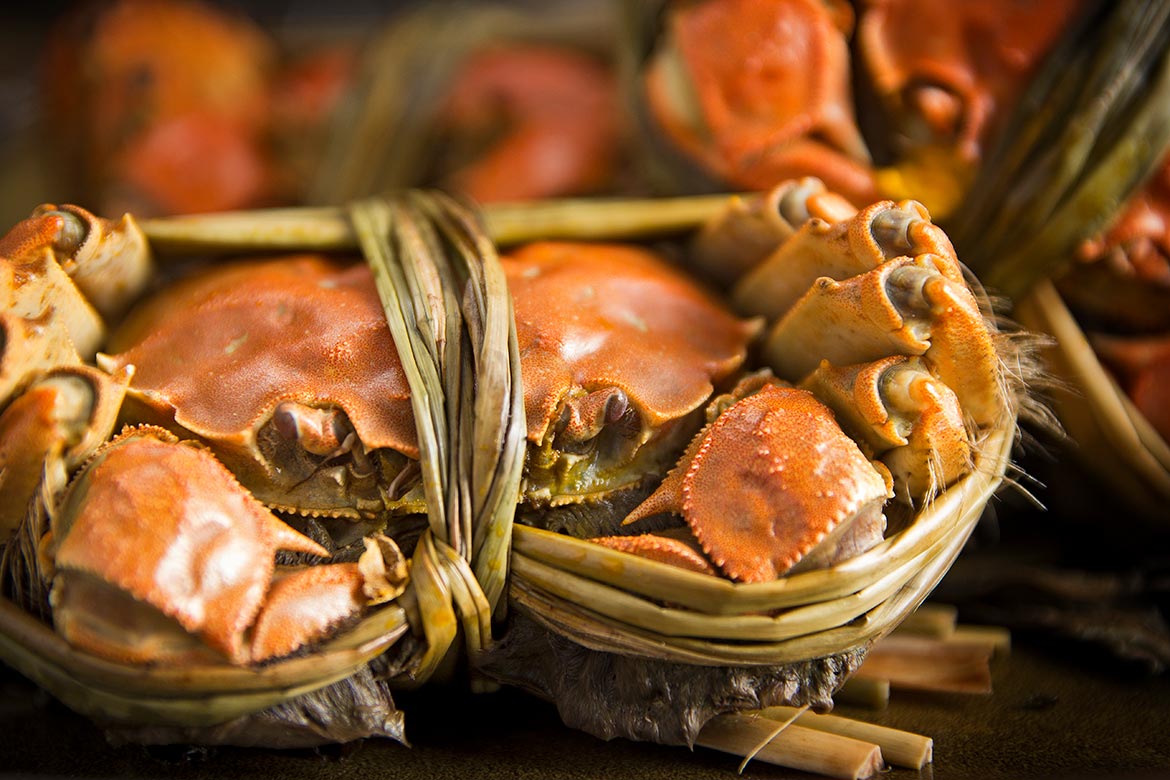 Fast Food Pasta with a Fine Dining Pedigree Arrives in NYC - PennNews ...